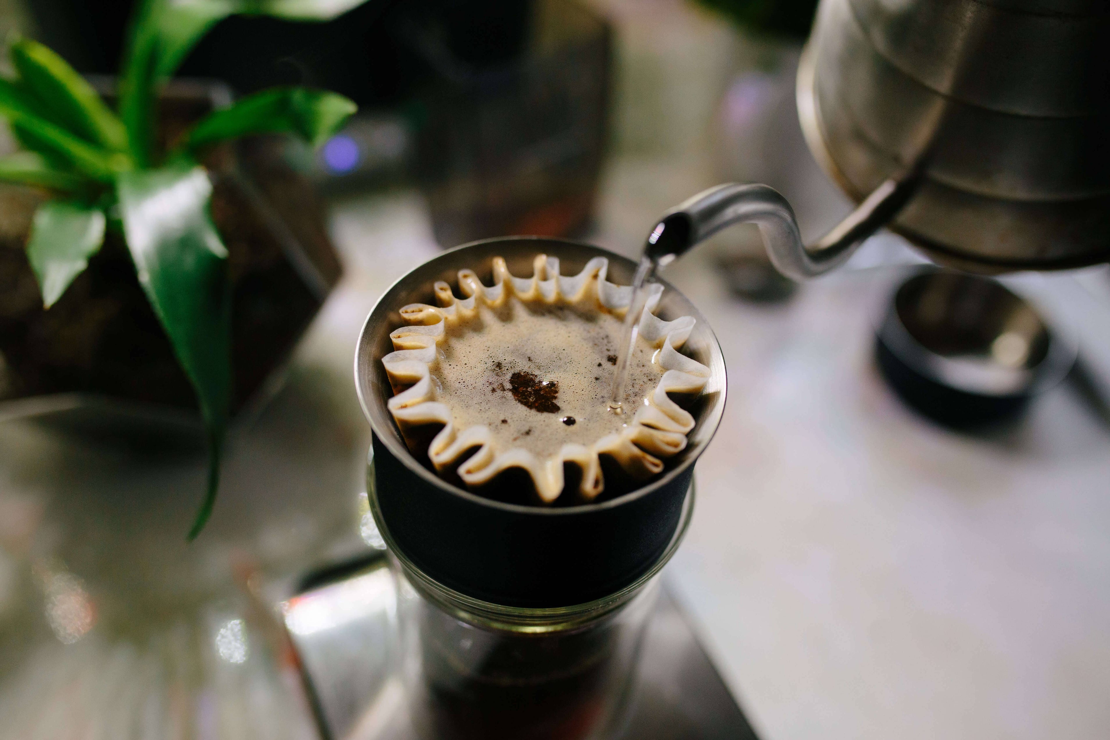 Arrowroot Coffee Co.